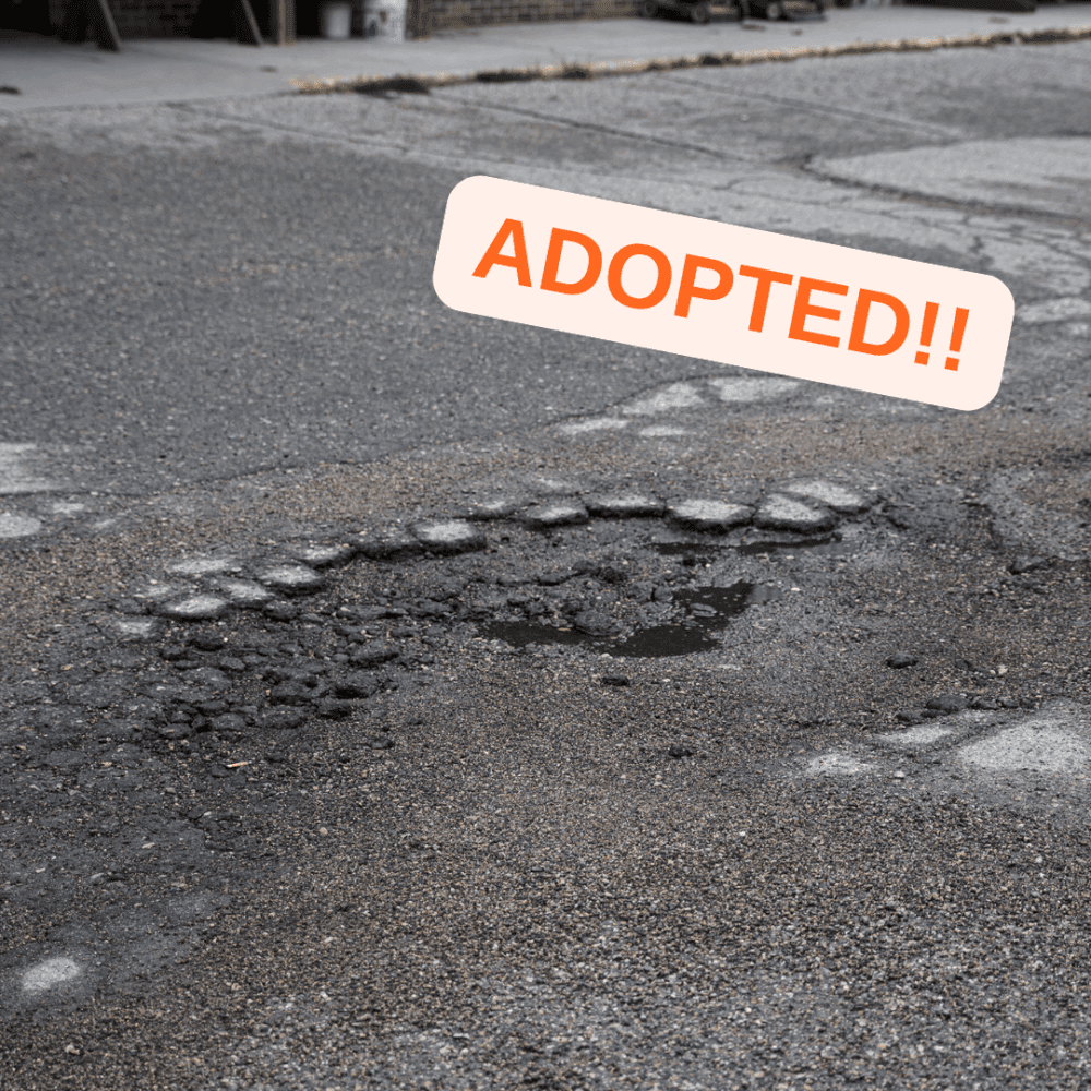 Adopt-A-Pothole | Lake Agassiz Habitat